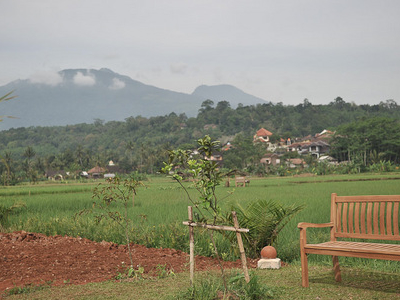 Mount Ungaran, Semarang, Indonesia Tourist Information