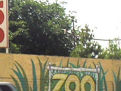 Southern Nevada Zoological Botanical Park, Las Vegas, United States ...