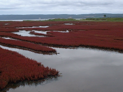 Lake Notoro, Japan Tourist Information
